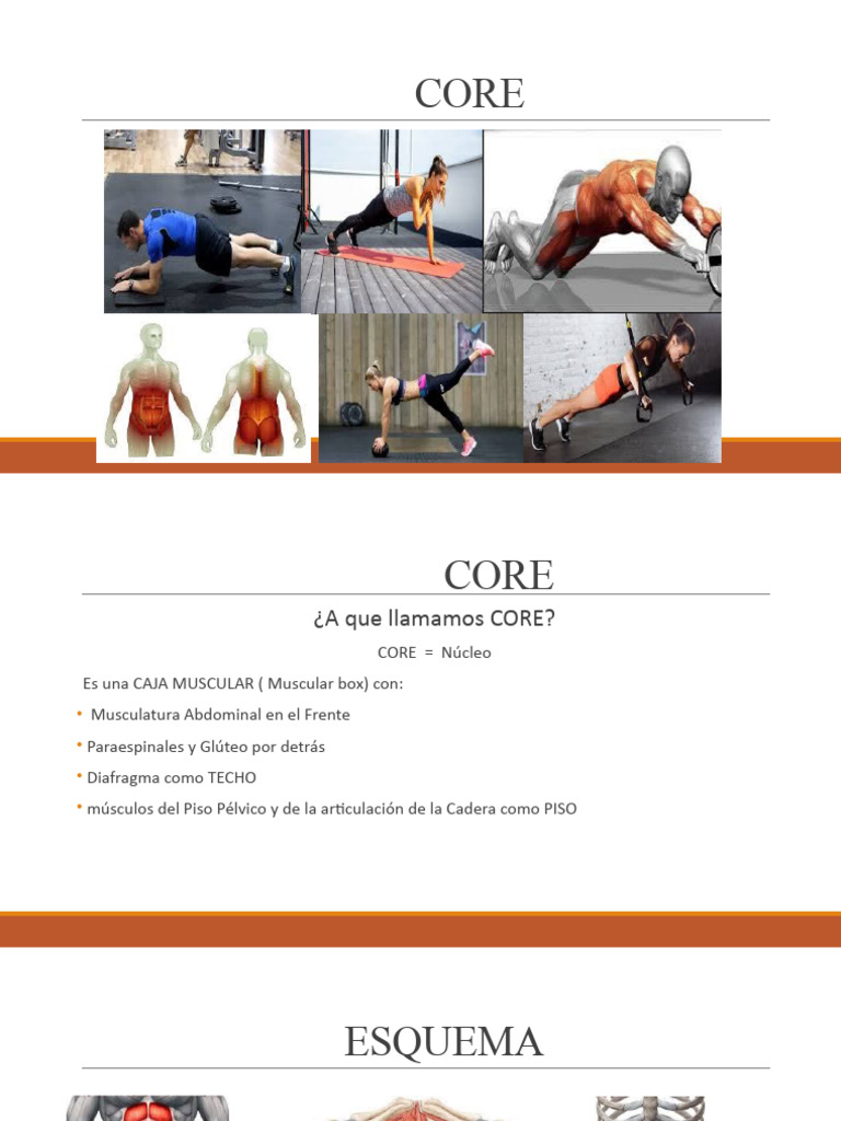 Estabilizacion Del Core | PDF | Músculo | Abdomen