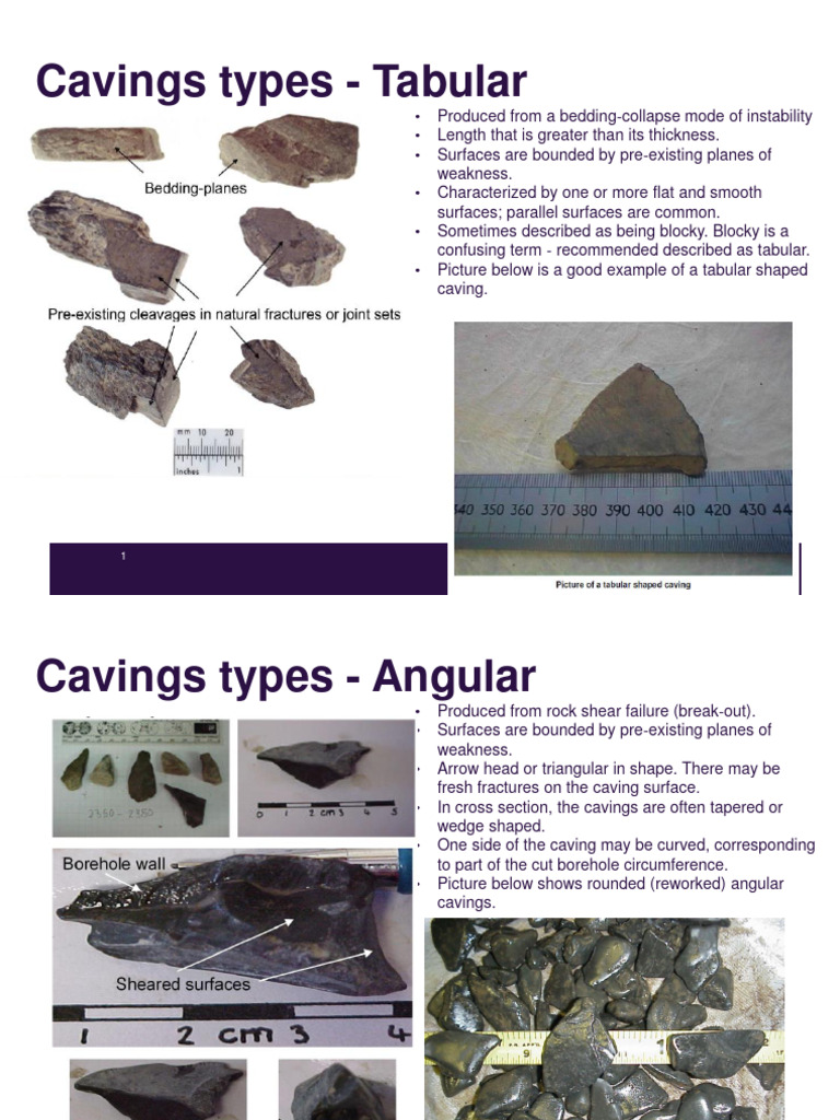 Cavings_Description_Guidelines | PDF