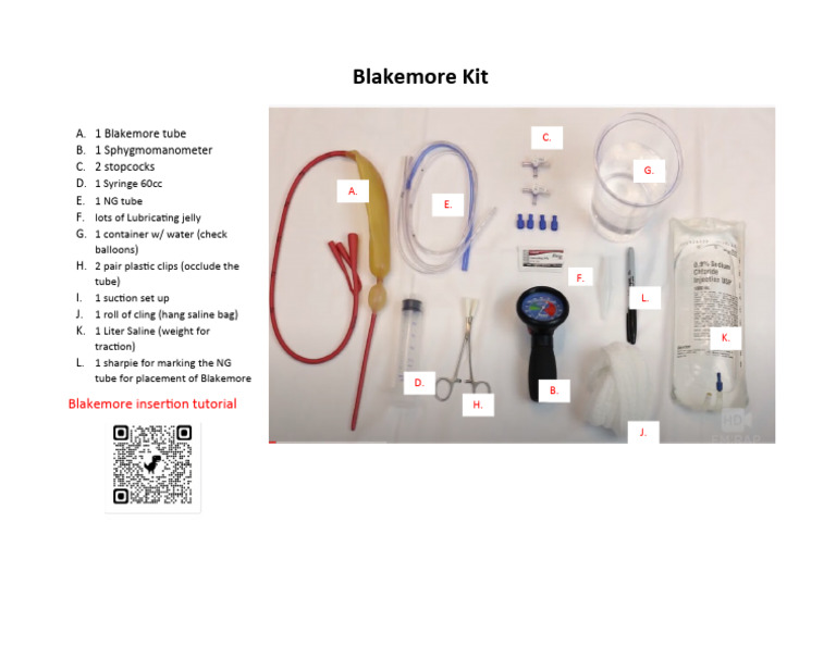 Blakemore Kit Setup Guide | PDF