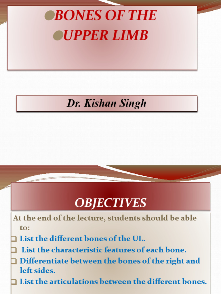 L1-Bones of Upper Limb | PDF | Hand | Limbs (Anatomy)