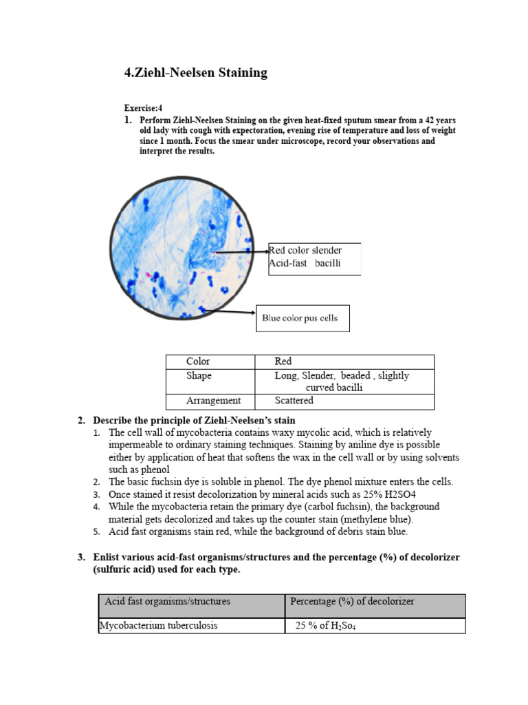 Practicals - 4. Ziehl - Neelsen Staining.docx | PDF | Cytopathology ...