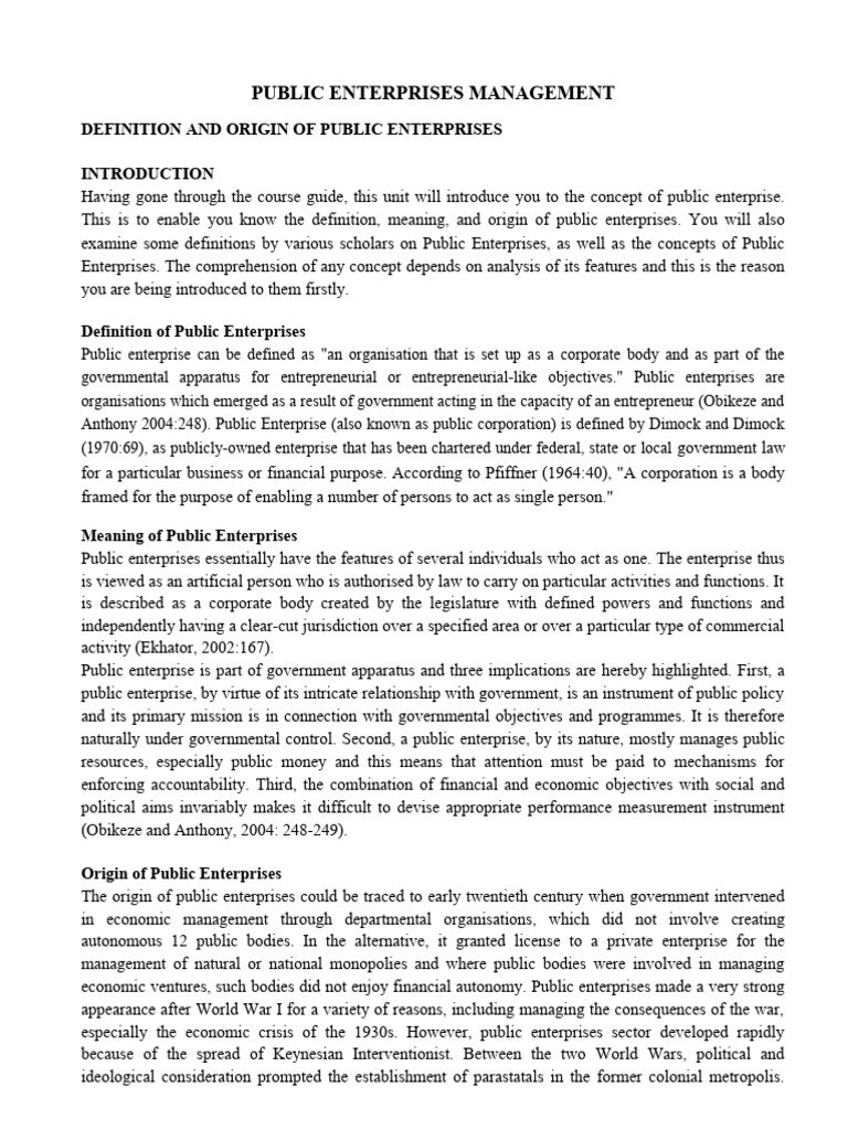 Public Enterprises Pdf State Owned Enterprise Audit