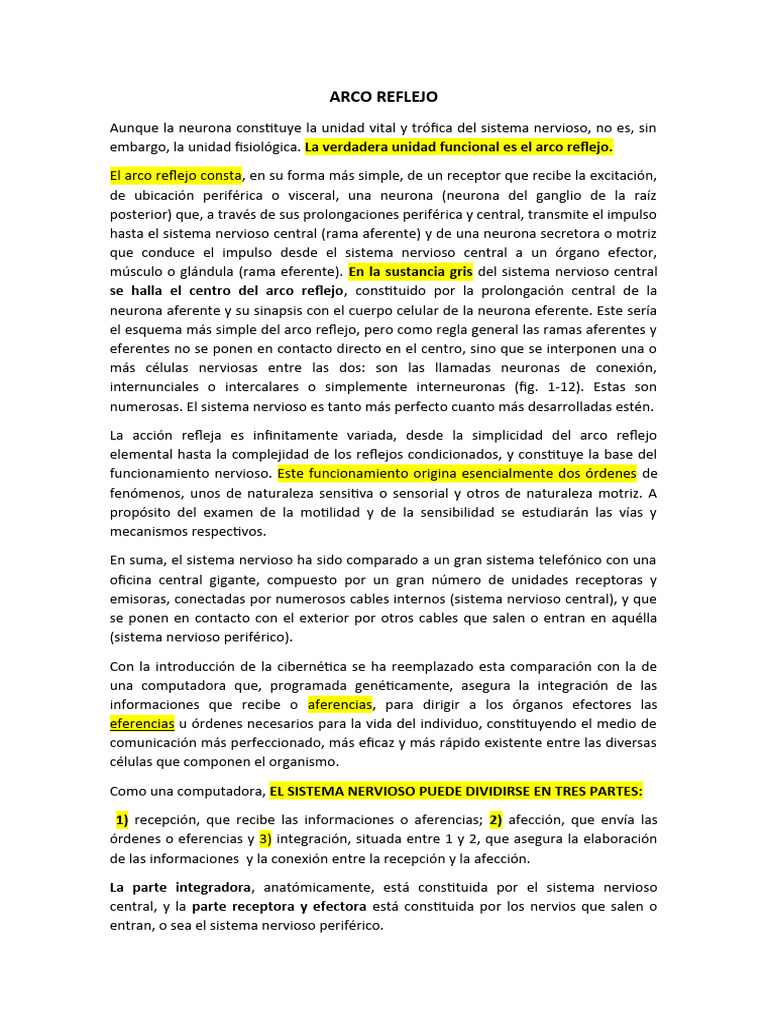 Funcionamiento del Arco Reflejo en el SNC | PDF | Sistema nervioso ...
