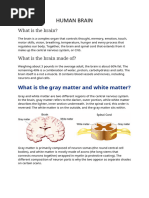 10th Cbse Bio Chapter 2 Notes | PDF | Neuron | Nervous System