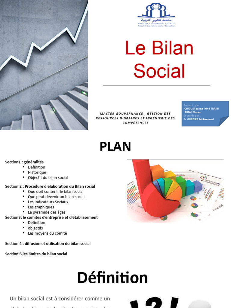 Le Bilan Social V Finale | PDF | Gestion des ressources humaines | Business