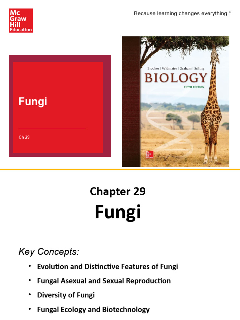 Lecture 06 Fungi Brooker Biology 5ed Ch29 Lecture An | PDF | Fungus | Sexual Reproduction