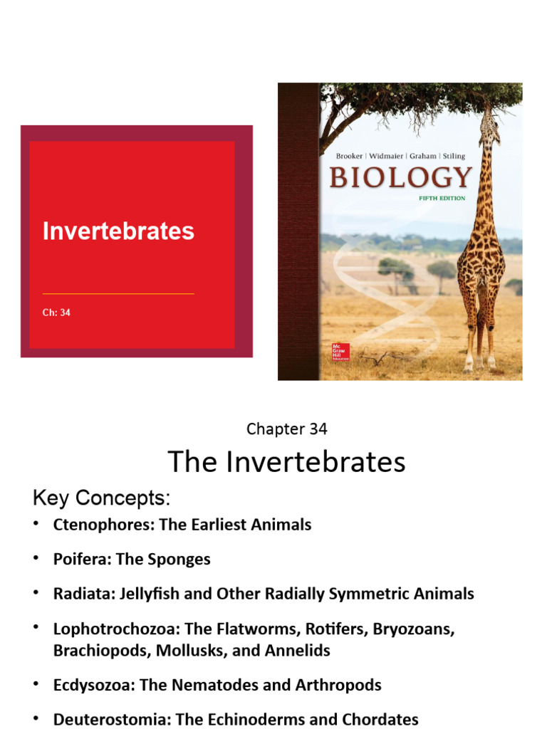 Lecture 10 Invertebrates Brooker Biology 5ed Ch34 An | PDF | Mollusca ...