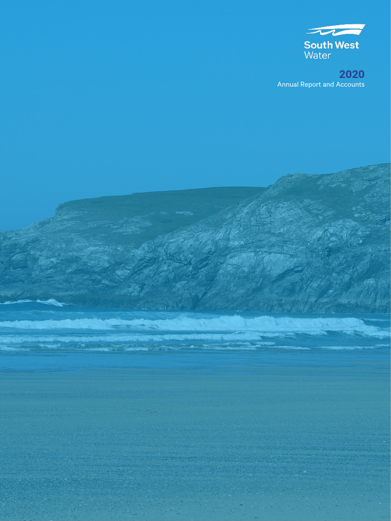 Ar Final | PDF | Sustainability | Governance