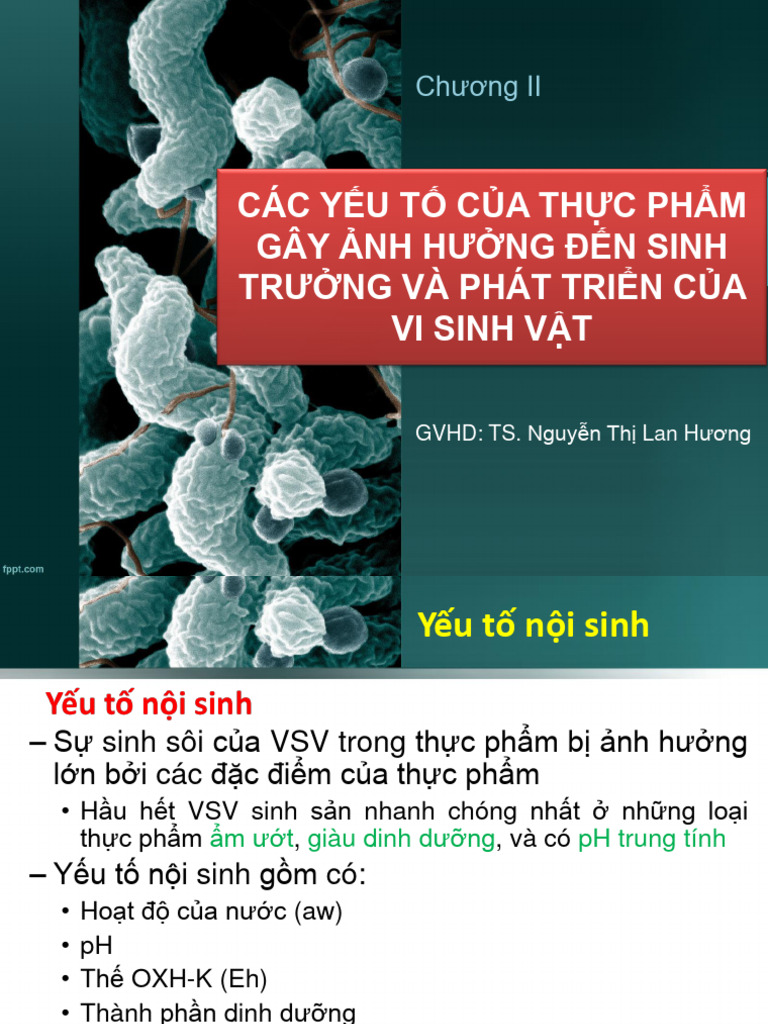 Chương 2- Các yếu tố ảnh hưởng đến sự phát triển của vsv trong tp | PDF