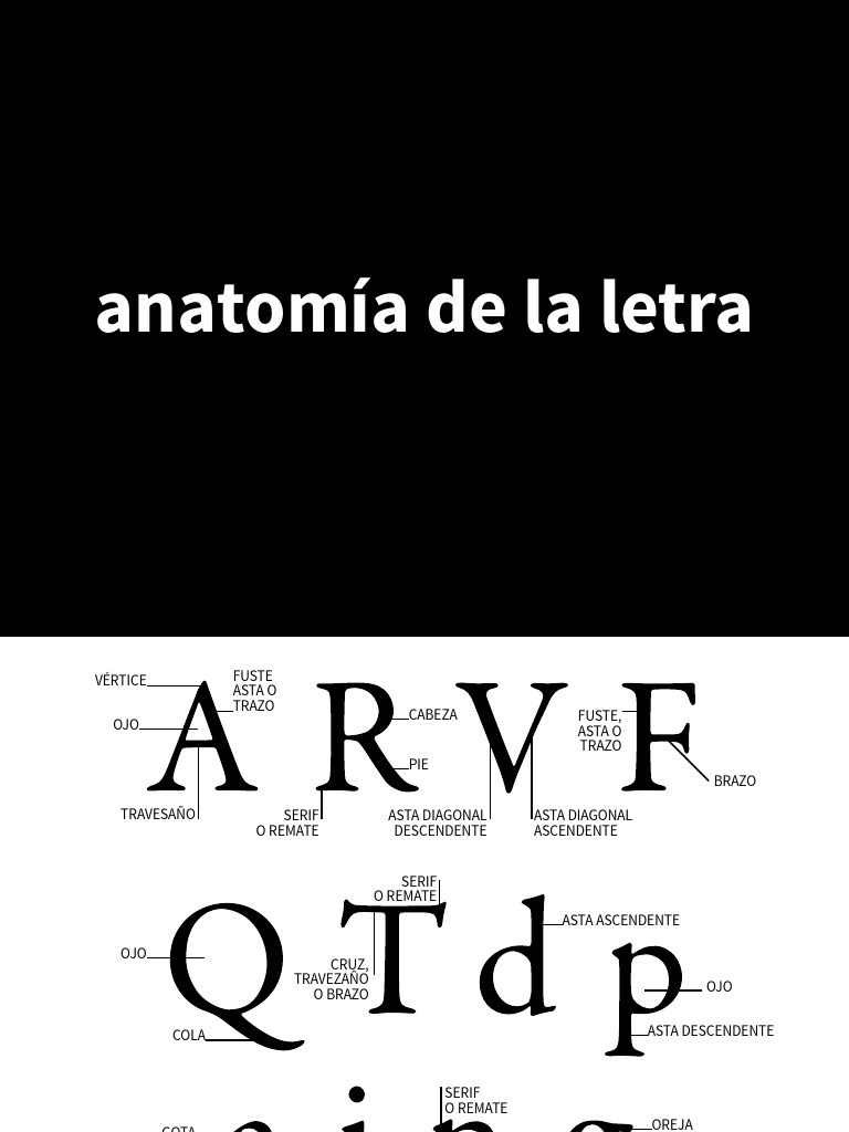 Partes de La Letra y Clasificación | PDF | Serif | Tipografía