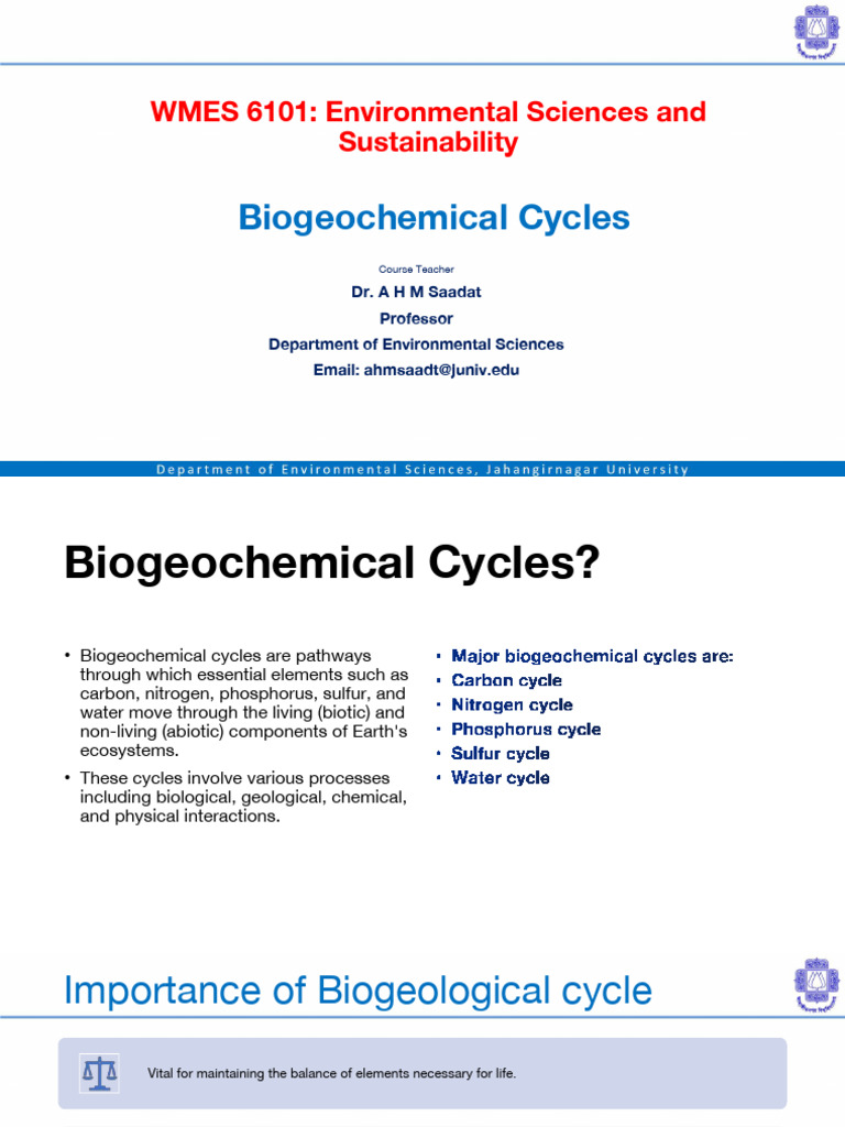 Biogeochemical Cycles | PDF | Ecosystem | Carbon Cycle