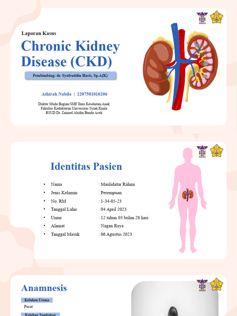 CKD Powerpoint | PDF