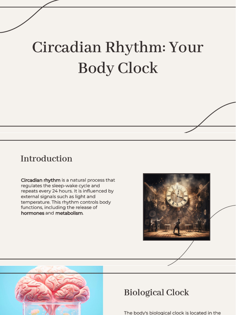 Slidesgo Circadian Rhythm the Internal Clock of Your Body ...