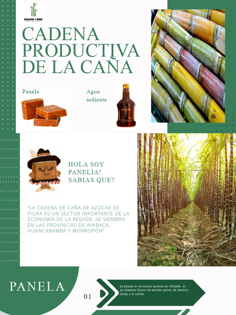 Cadena Productiva de La Caña | PDF | Caña de azúcar | Bebida