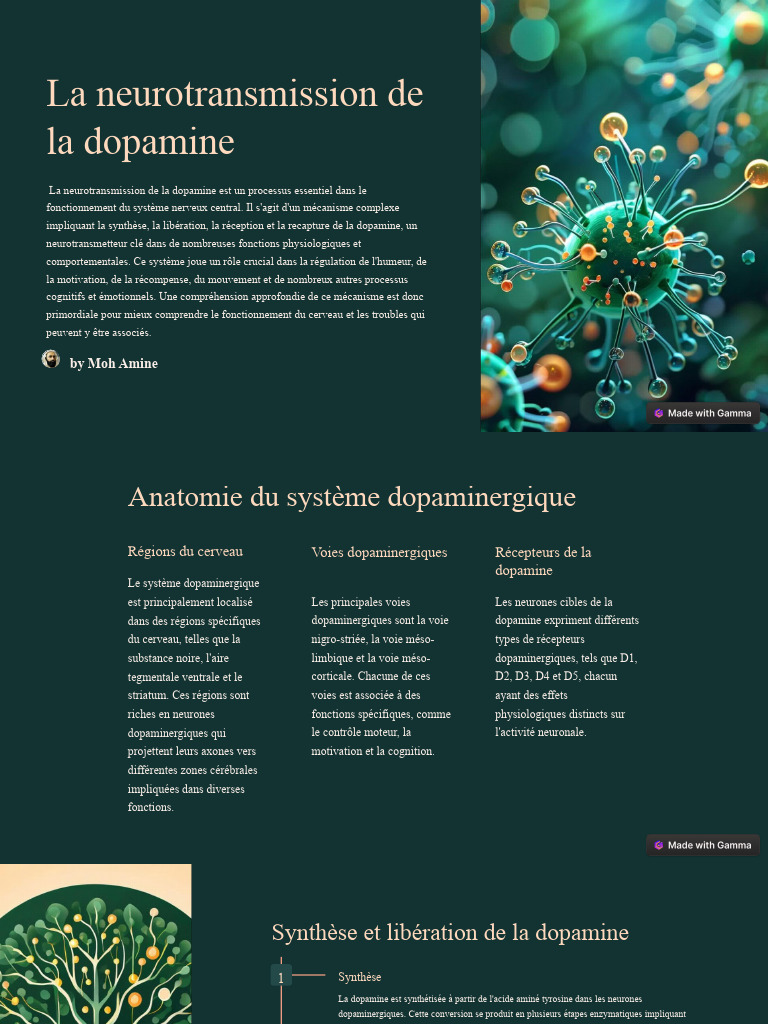 La Neurotransmission de La Dopamine 03 | PDF | Dopamine | Synapse