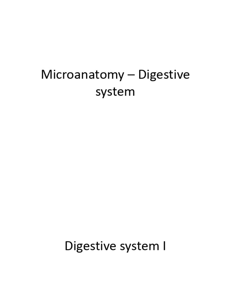 Microanatomy - Digestive System | Download Free PDF | Stomach | Tongue Microanatomy - Digestive System | Download Free PDF | Stomach | Tongue