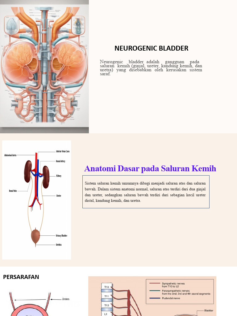 Neurogenic Bladder | PDF