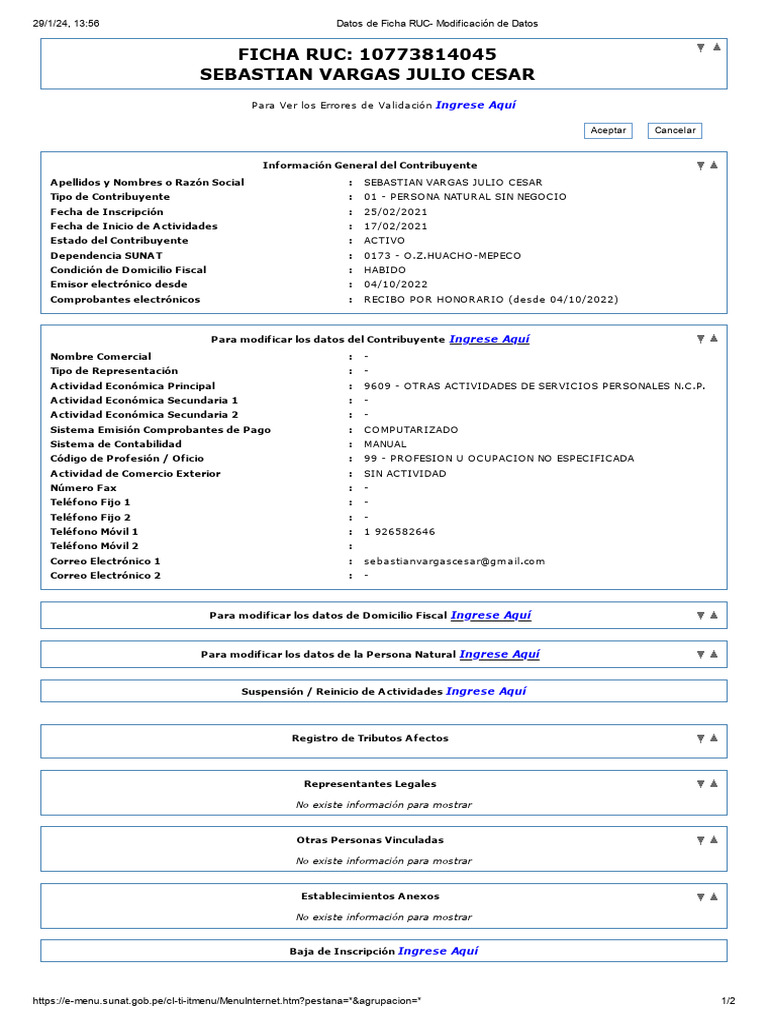 Ficha Ruc | PDF | Industrias de servicio | Telecomunicaciones