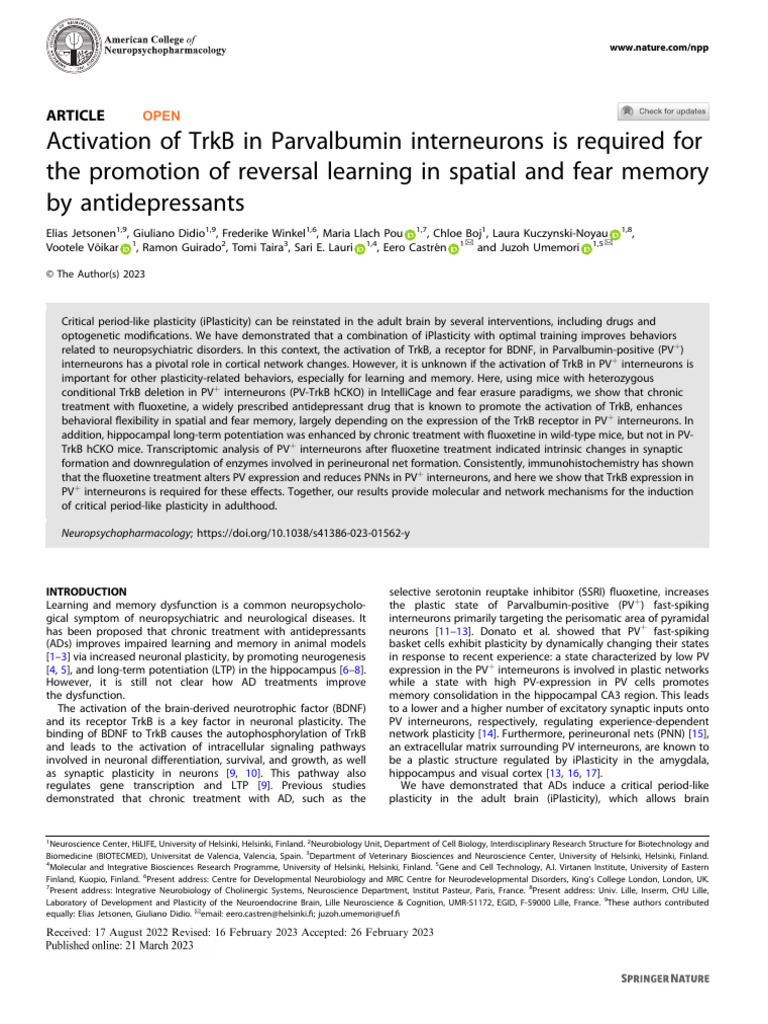 Activation of TRKB in Parvalbumin Interneurons Is Required For The ... Activation of TRKB in Parvalbumin Interneurons Is Required For The ...