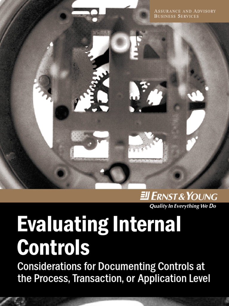 Internal Controls Considerations Documenting Controls | PDF