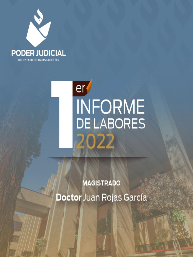 Primer Informe 2022 Digital LQ | PDF | Judicaturas | Auditoría