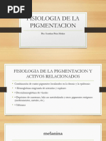 Depósito de Pigmentos Endógenos y Exógenos | PDF | Biología | Medicina ...