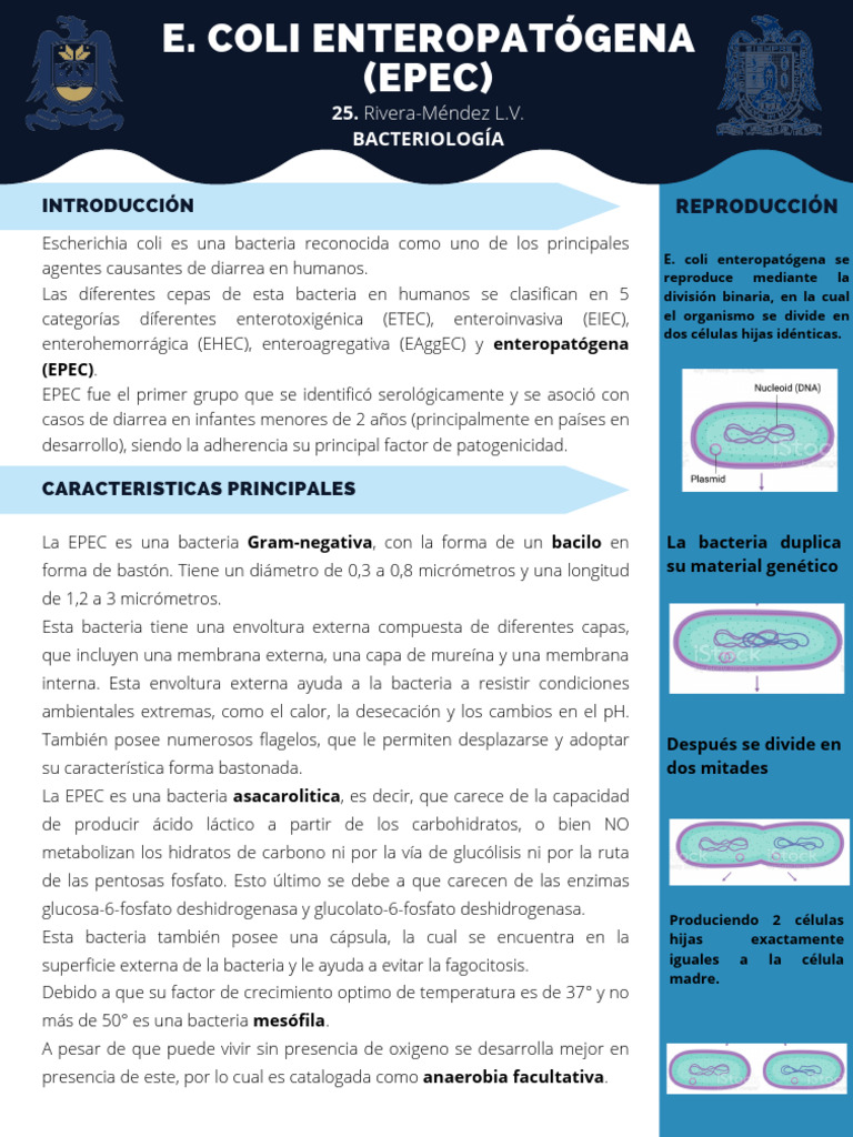 Luz Vianey EPEC | PDF | Las bacterias | Escherichia coli