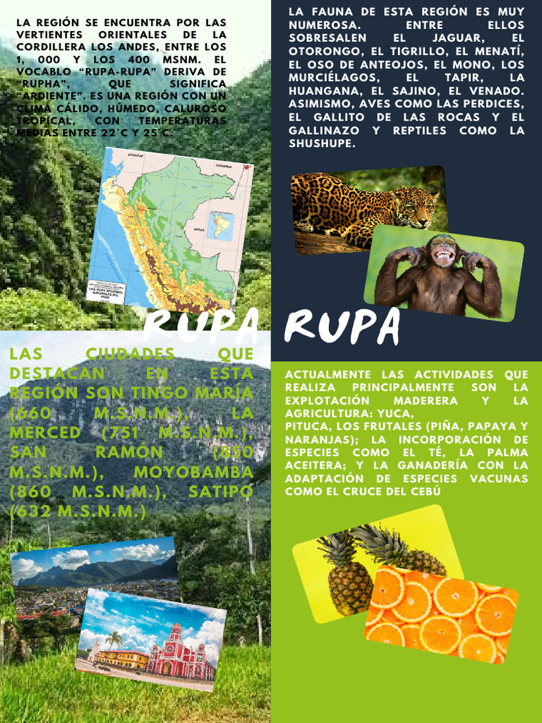 Afiche Rupa Rupa | PDF