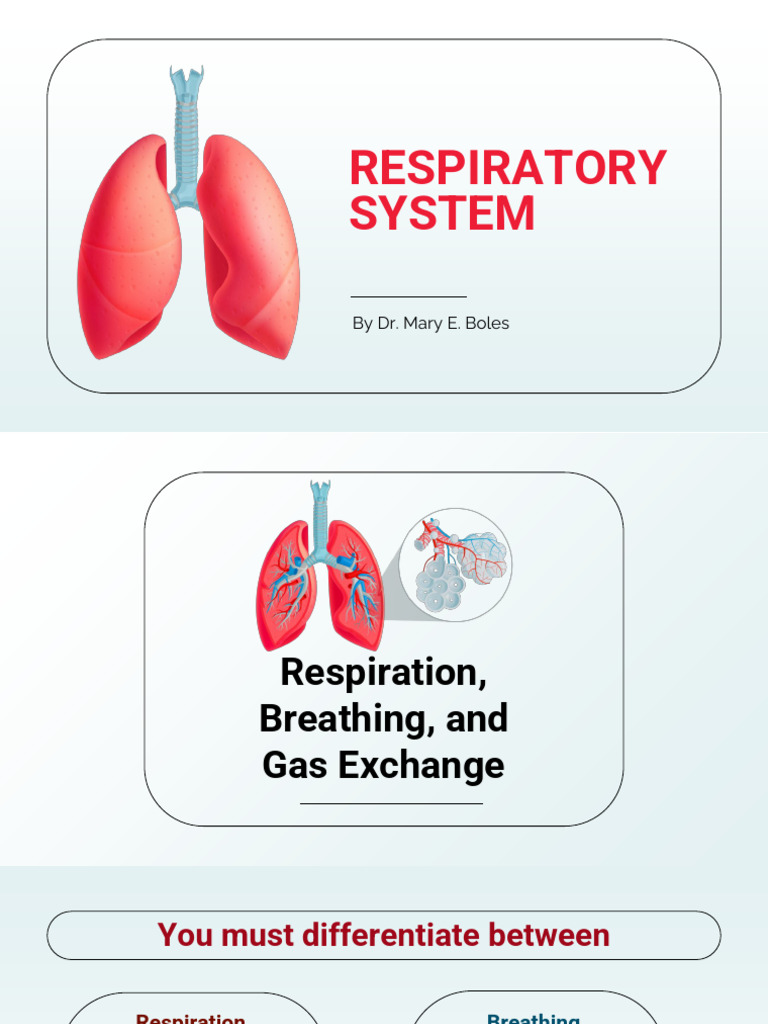 Respiratory System Grade 9 | PDF | Lung | Respiratory Tract