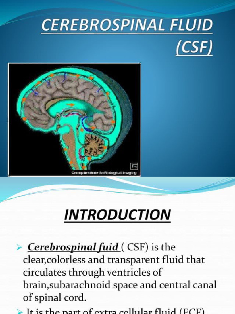 CSF | PDF