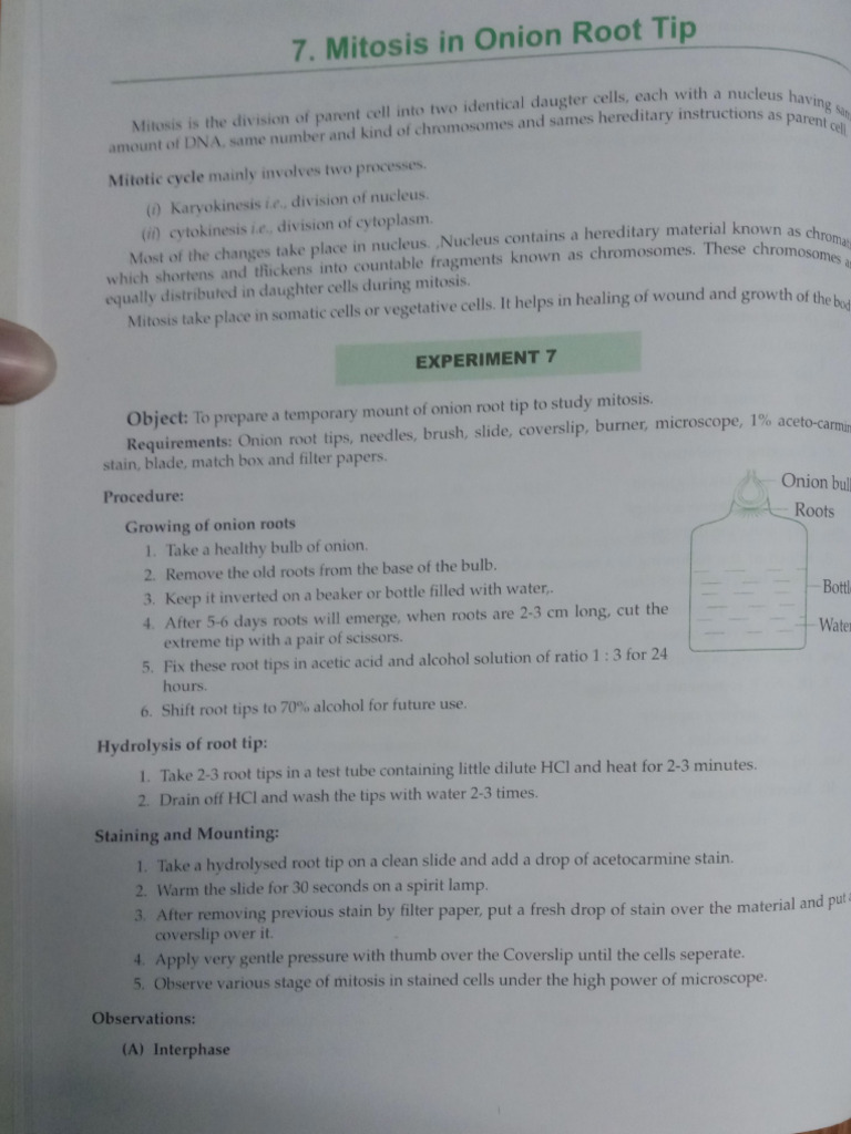 Biology Practical 2 Class 12 | PDF