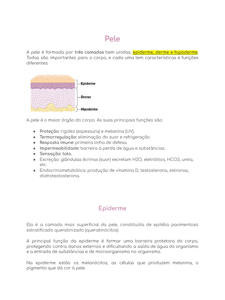 Aula 1 Pele Pdf Epiderme Anatomia