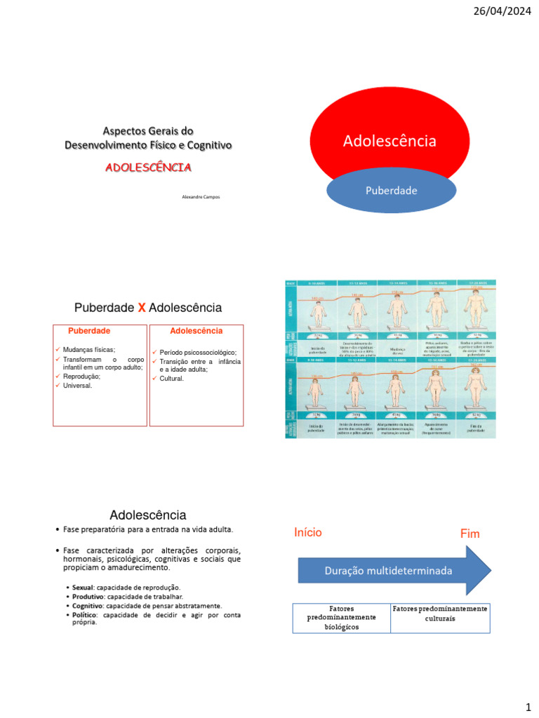 Aula 7 Desenvolvimento Cognitivo Adolescencia Pdf Adolescência