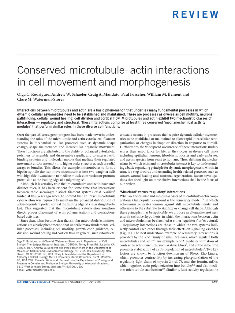 Conserved Microtubule-Actin Interactions in Cell Movement and ...