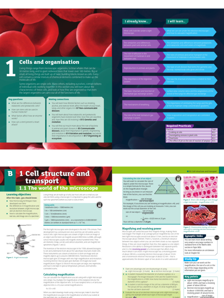 Cell Structure and Transport (B1) | PDF | Microscope | Cell (Biology)
