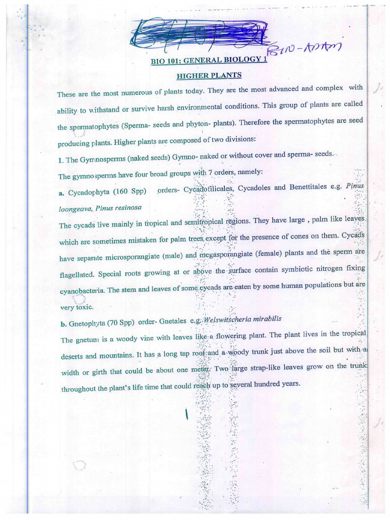 Bio 101 Higher Plant 2 1 Pdf