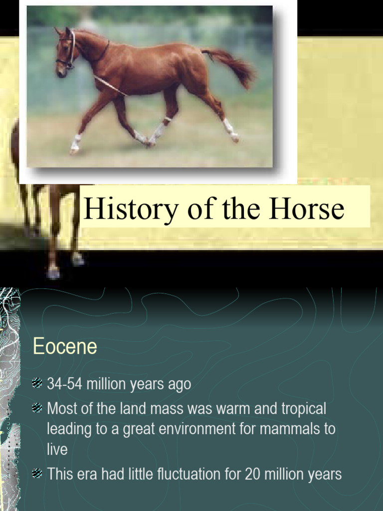 Horse Evolution (1) - 1 | PDF | Horses | Tooth