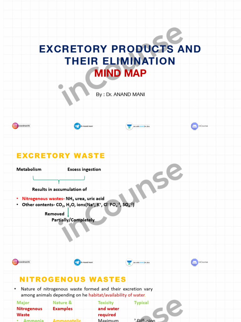 Mind Map Excretory Products & Their Elimination Finsl Reviewed 1 | PDF ...