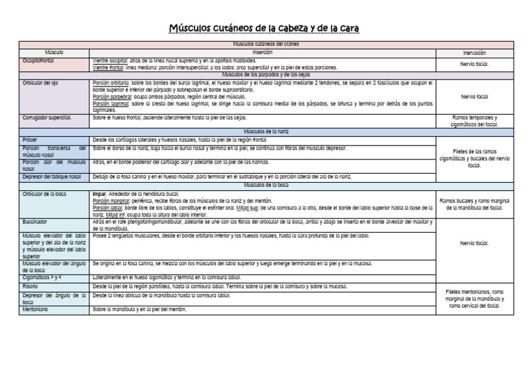 Anatomía 1. Músculos Cutáneos de La Cabeza y de La Cara. Cuadro Resúmen ...