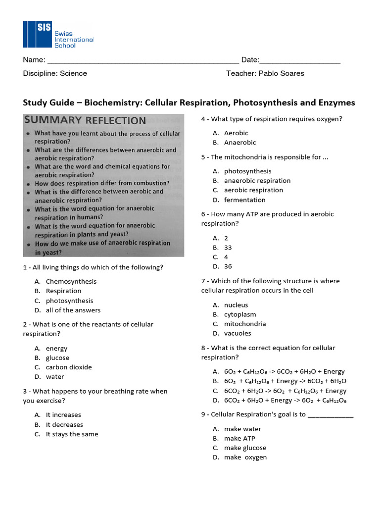 Biochemistry Study Guide: Respiration & Enzymes | PDF | Cellular ...