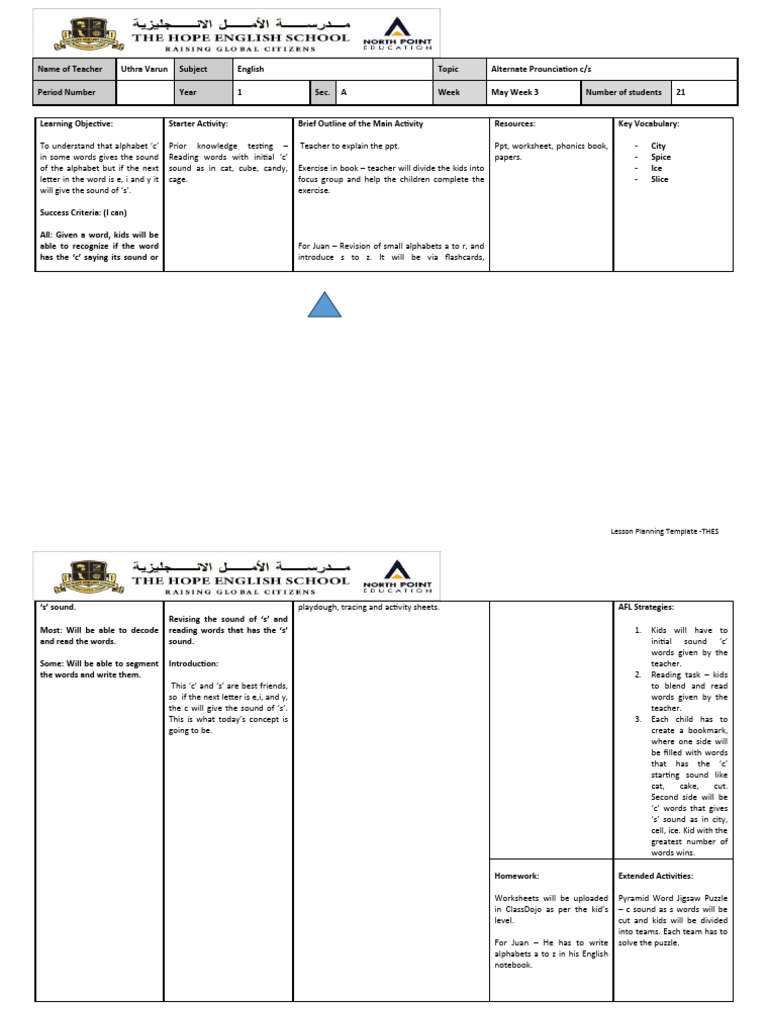 Year 1 - Lesson Plan | PDF | Cognition | Pedagogy