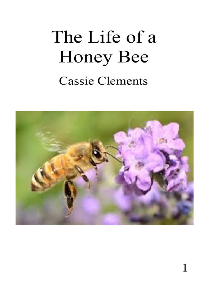 Honey Bee Bheaviour | PDF | Honey Bee | Beehive