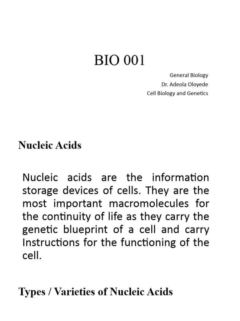 BIO 001 5th Lecture | PDF | Rna | Nucleic Acids BIO 001 5th Lecture | PDF | Rna | Nucleic Acids