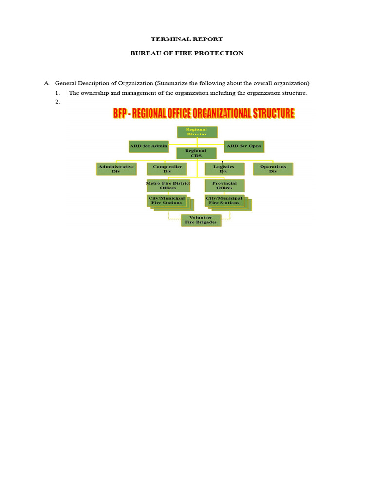 Terminal Report Bfp | PDF | Internship | Job Hunting
