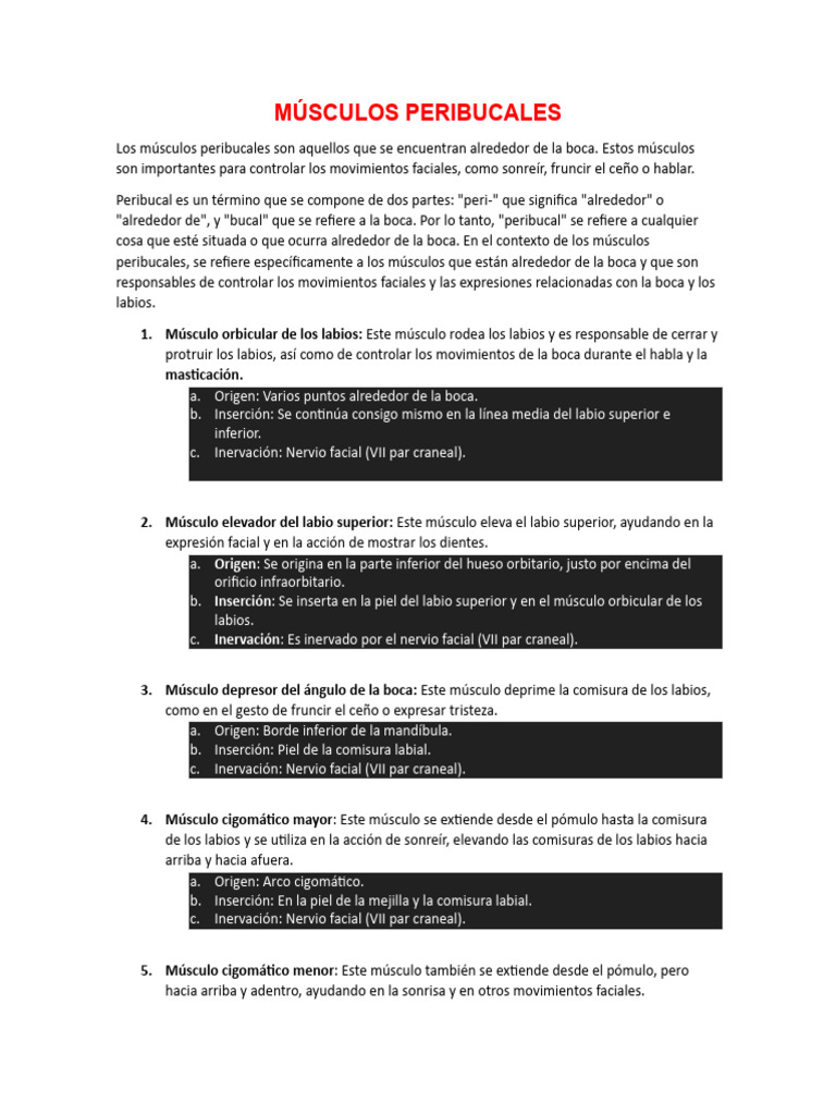 Anatomía de los Músculos Peribucales | PDF | Boca | Anatomía humana