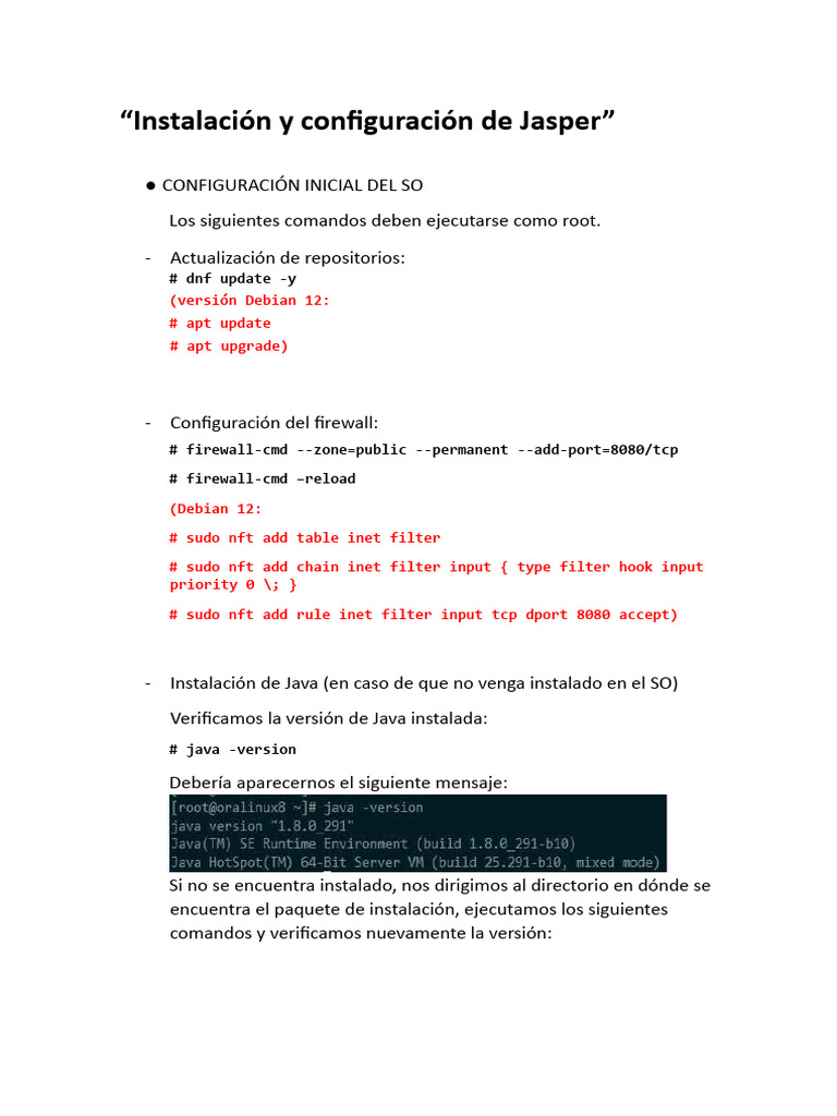 Instructivo-Jasper (para Dilfer) | PDF | Tecnología de sistema ...