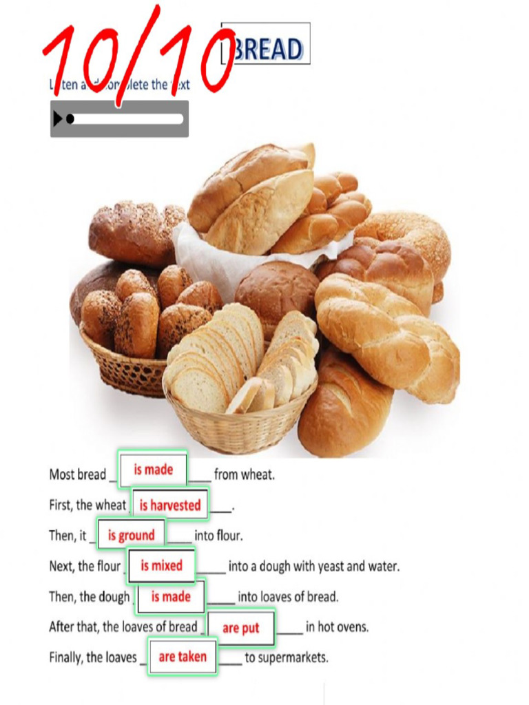 Bread | PDF