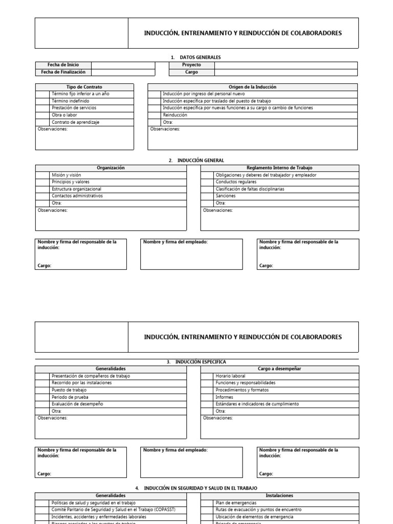 Formato Induccion Entrenamiento y Reinduccion | PDF | Derecho laboral | Business