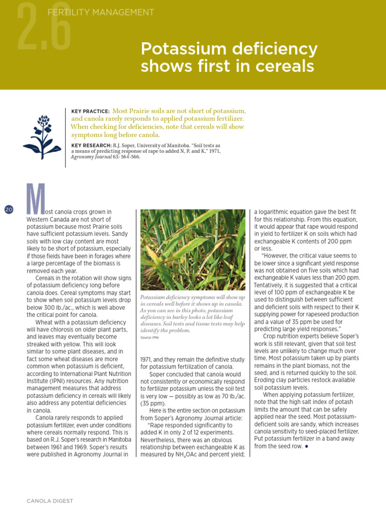 Potassium Deficiency in Canola and Cereals | PDF | Soil | Rapeseed