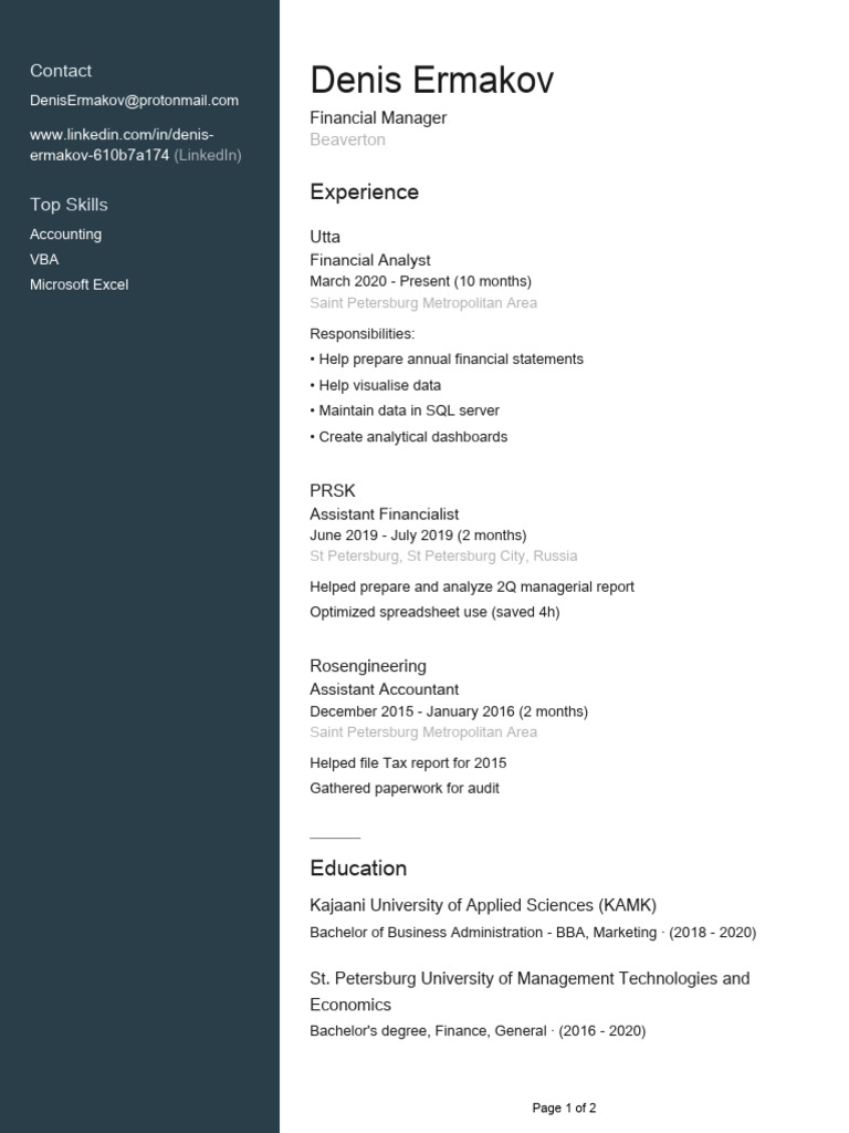 Denis Ermakov: Financial Manager Profile | PDF | Finance & Money Management